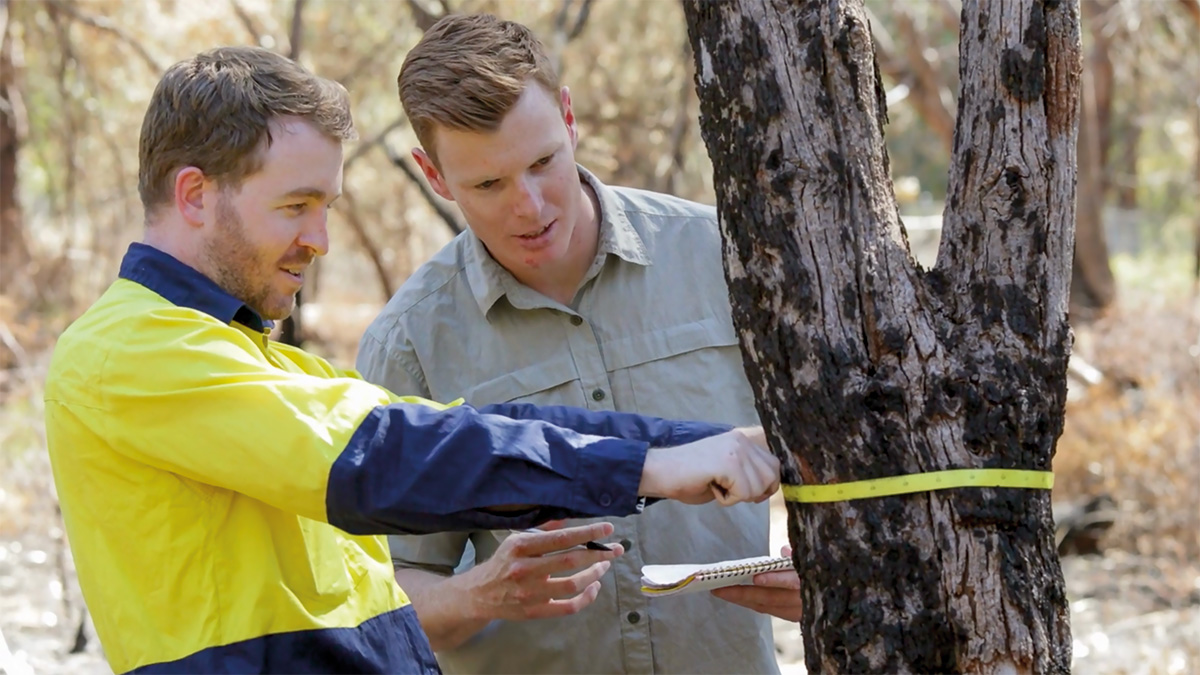 Arboricultural Association Careers In Arboriculture